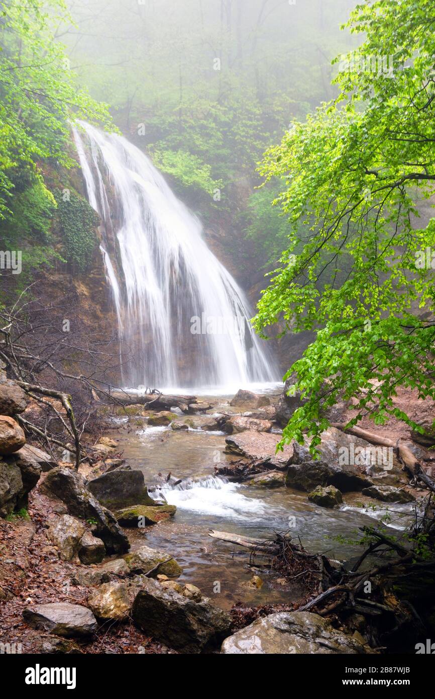Waterfall flows in mountain green forest, fallen tree trunk lies in ...