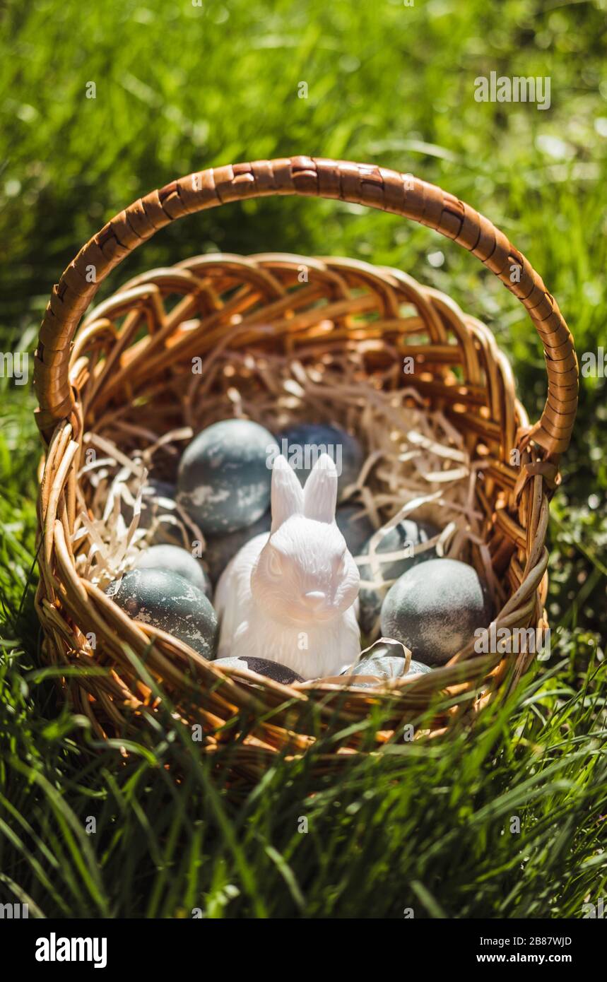 Painted blue textured easter eggs and a white plastic rabbit in a ...