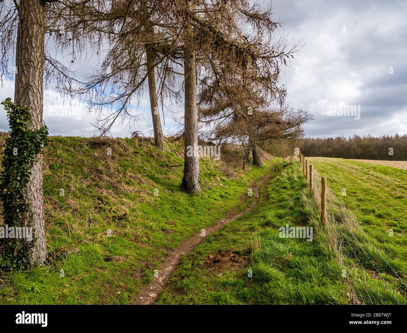 Oxfordshire Landscape, The Ridgeway Nation Trail, Chiltern Hills ...