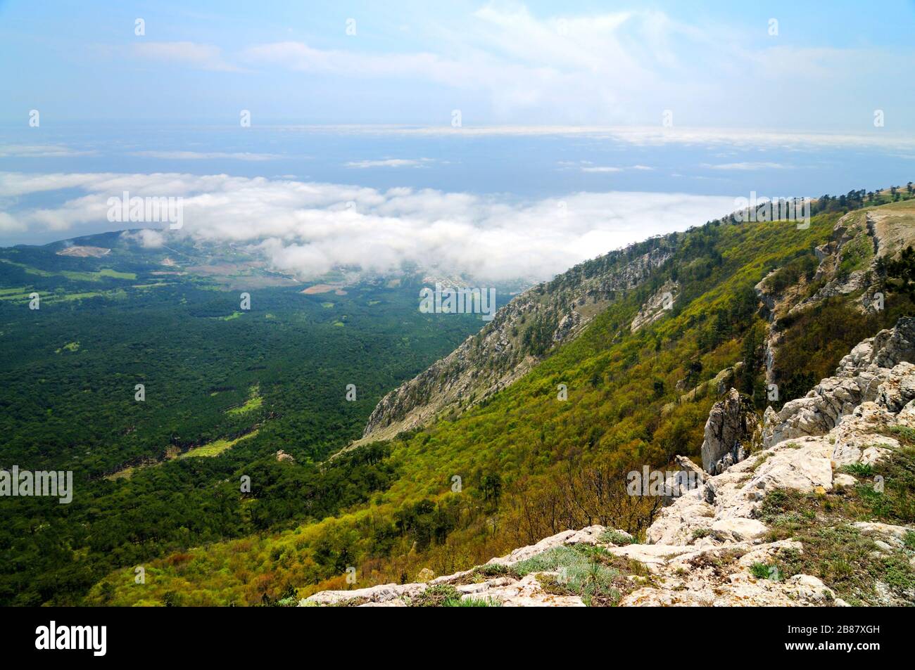 Photo from top of Ai-Petri mountain, tree grows on rock, beautiful ...