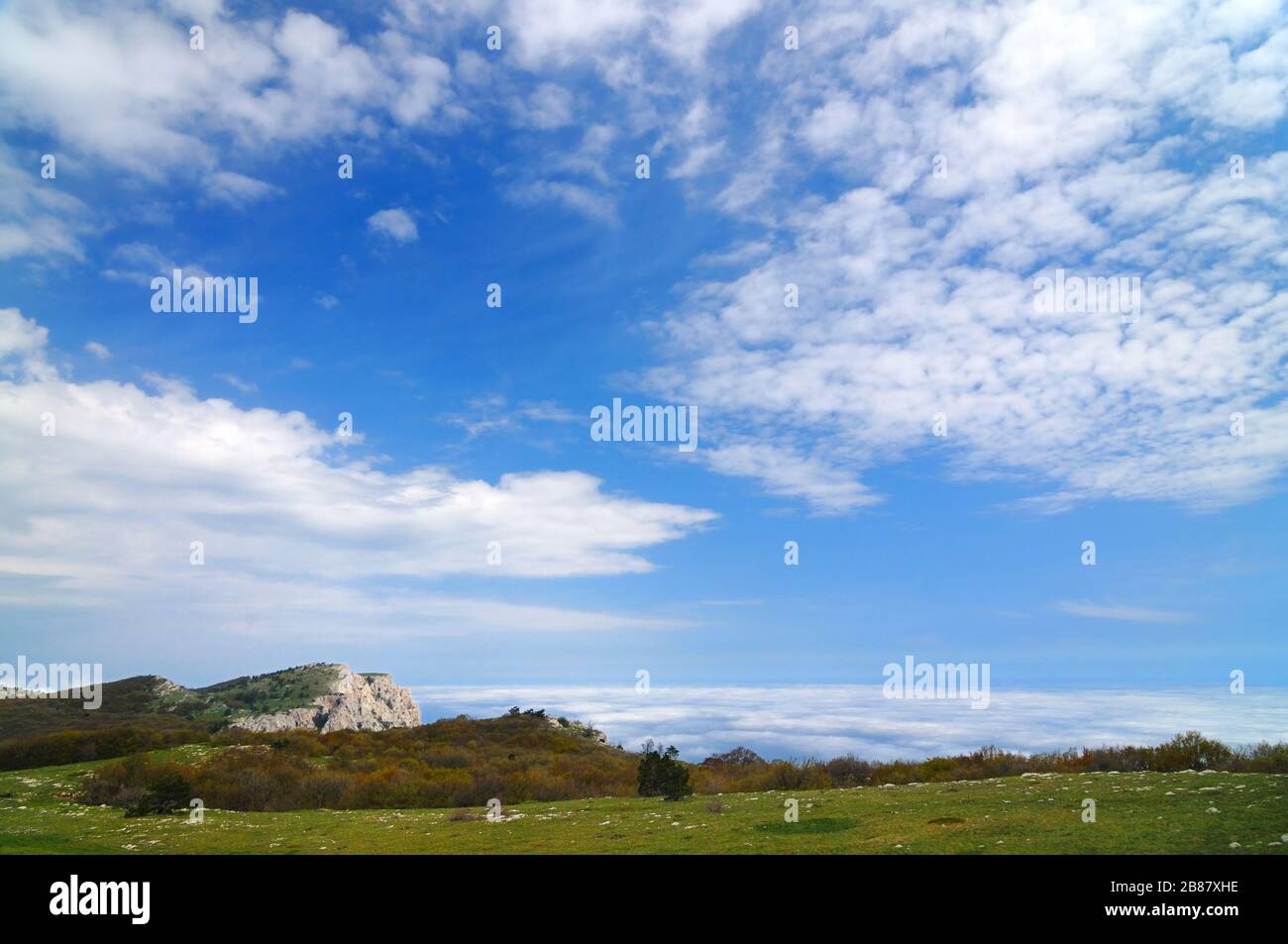 Photo from top of Ai-Petri mountain, tree grows on rock, beautiful ...