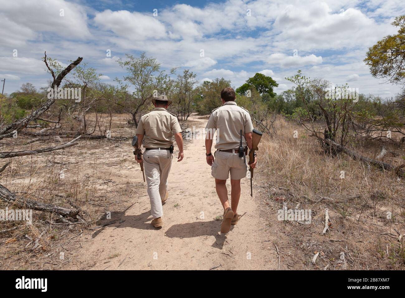 Park ranger uniform forest hi-res stock photography and images - Alamy