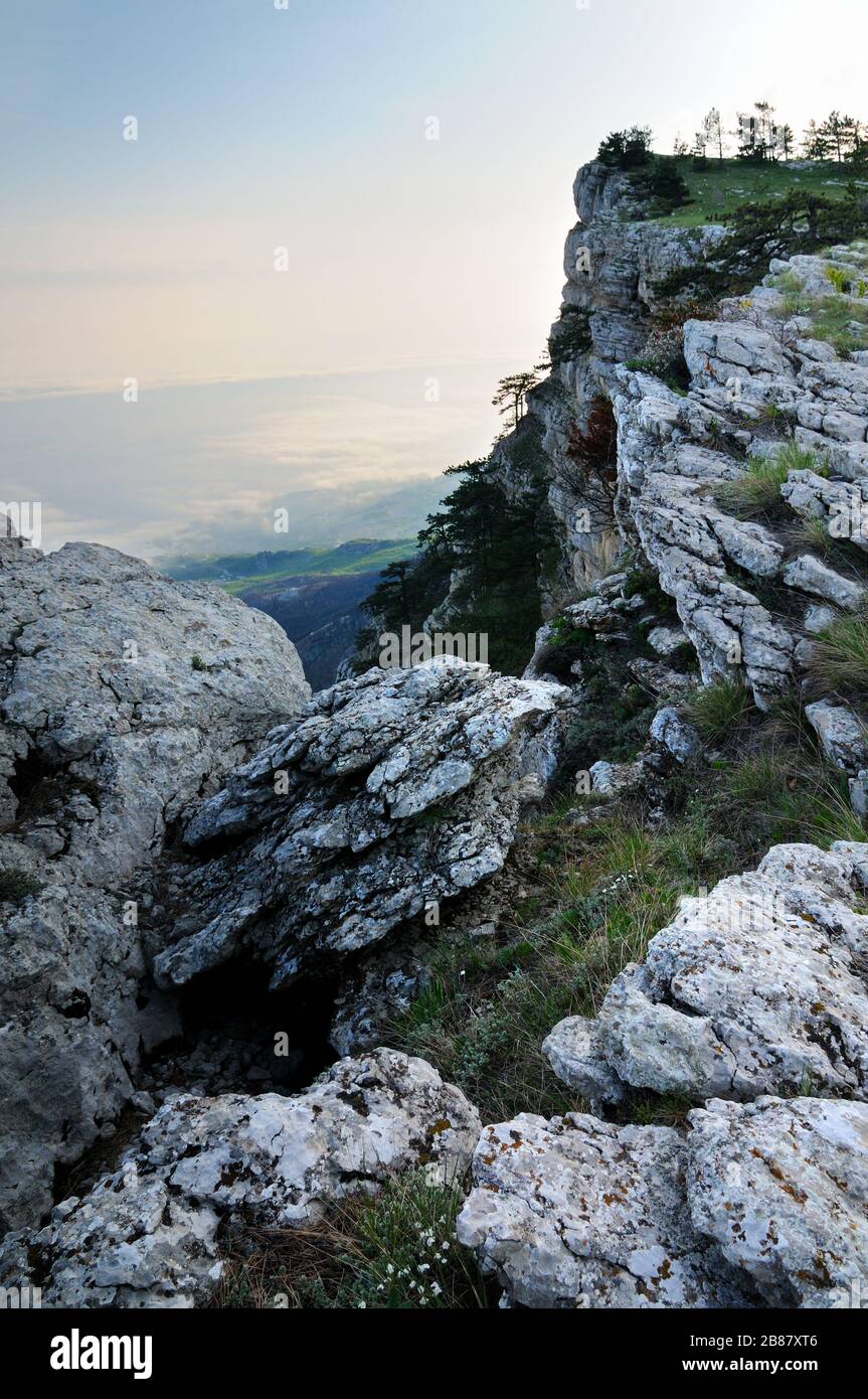 Photo from top of Ai-Petri mountain, tree grows on rock, beautiful ...
