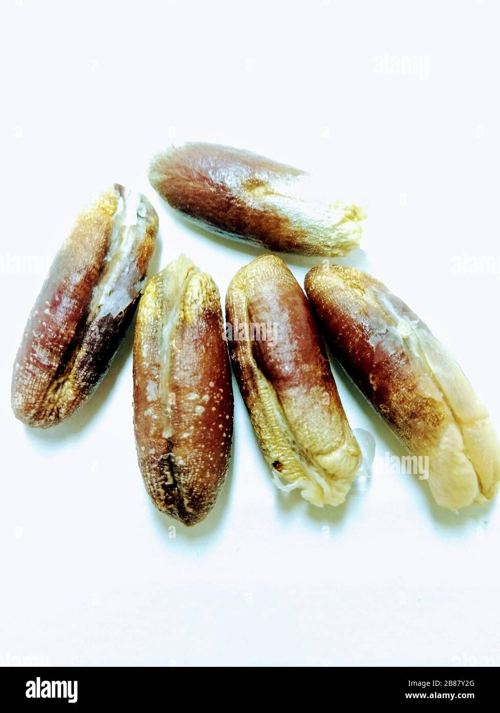 A picture of date seeds Stock Photo - Alamy