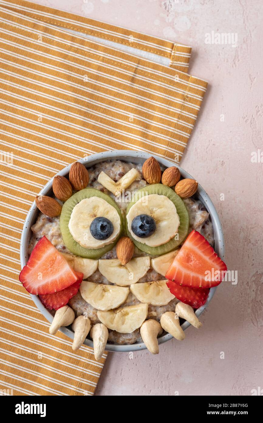 Cute owl shaped breakfast healthy oatmeal porridge for kids Stock Photo ...