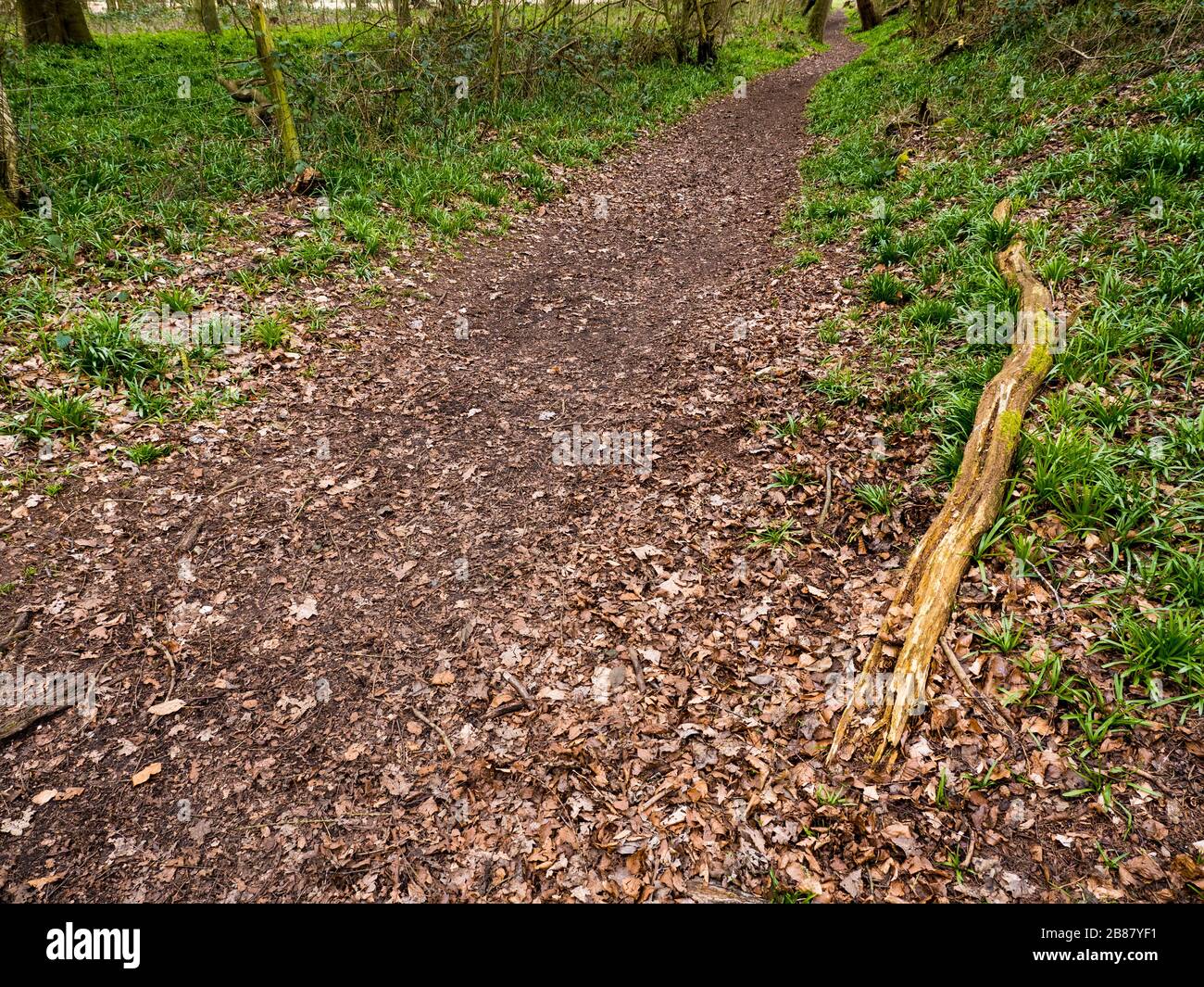 Ancient trackway historic roads hi-res stock photography and images - Alamy
