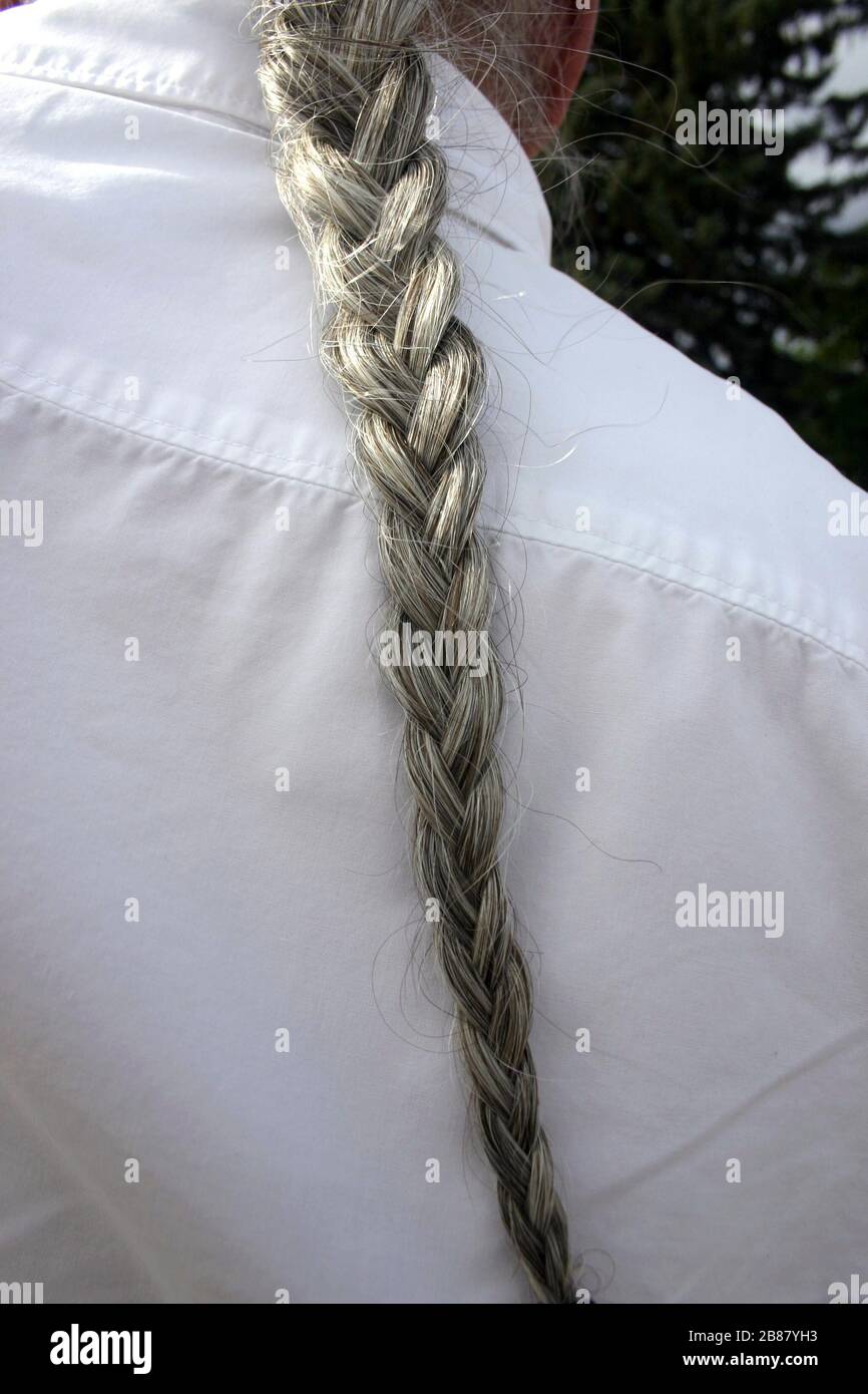 Long gray braided hair on this man Stock Photo - Alamy