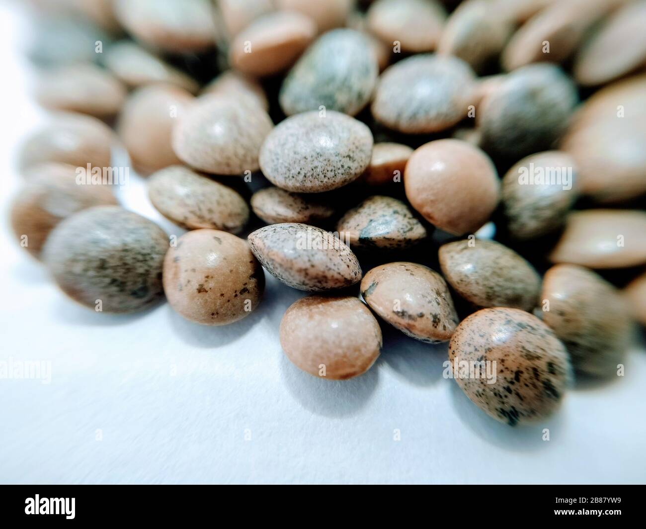 A picture of lentil Stock Photo - Alamy
