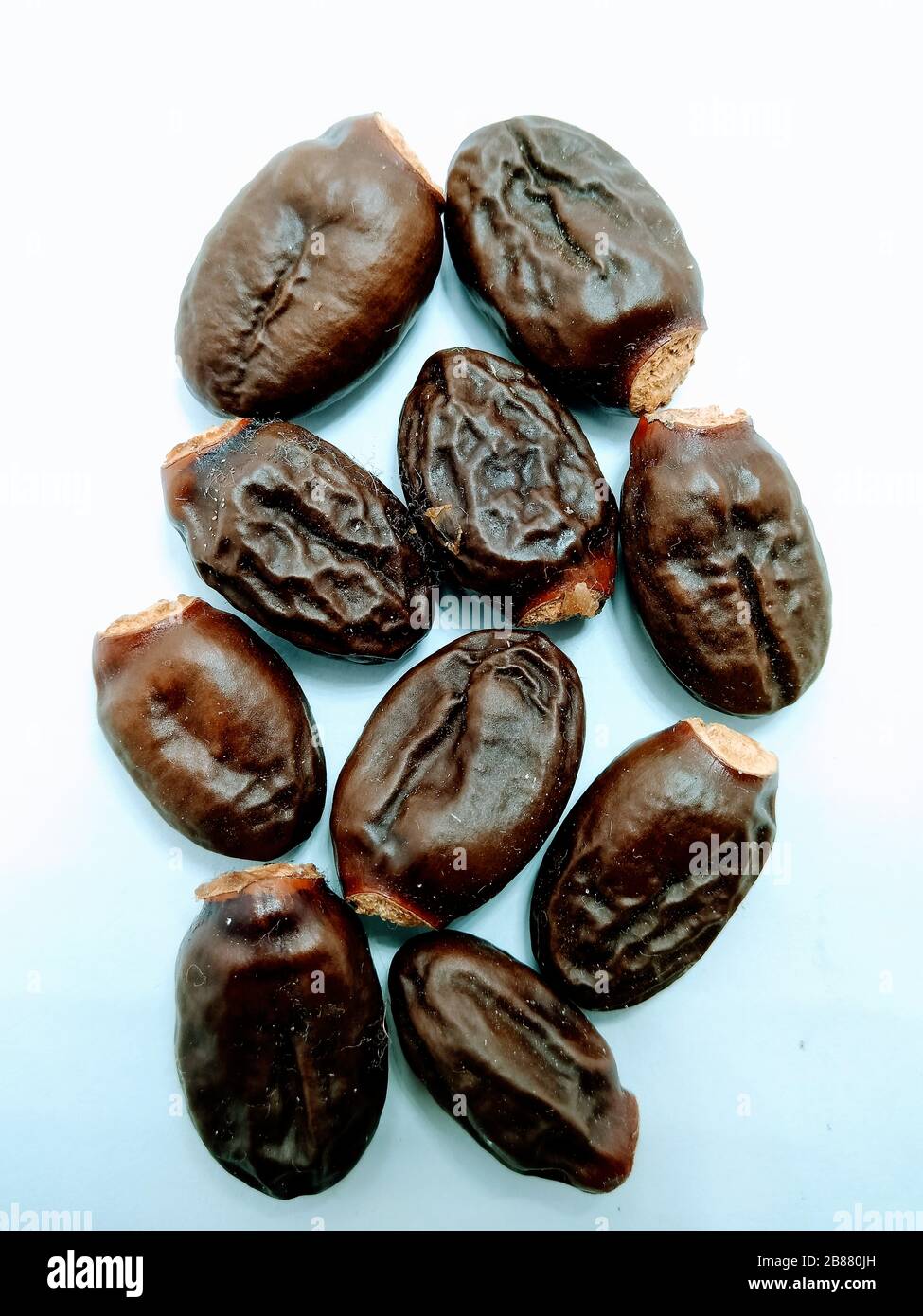 A picture of litchi seeds Stock Photo - Alamy