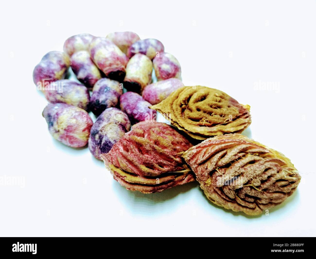 Mixed seeds pile isolated sunflower hi-res stock photography and images ...