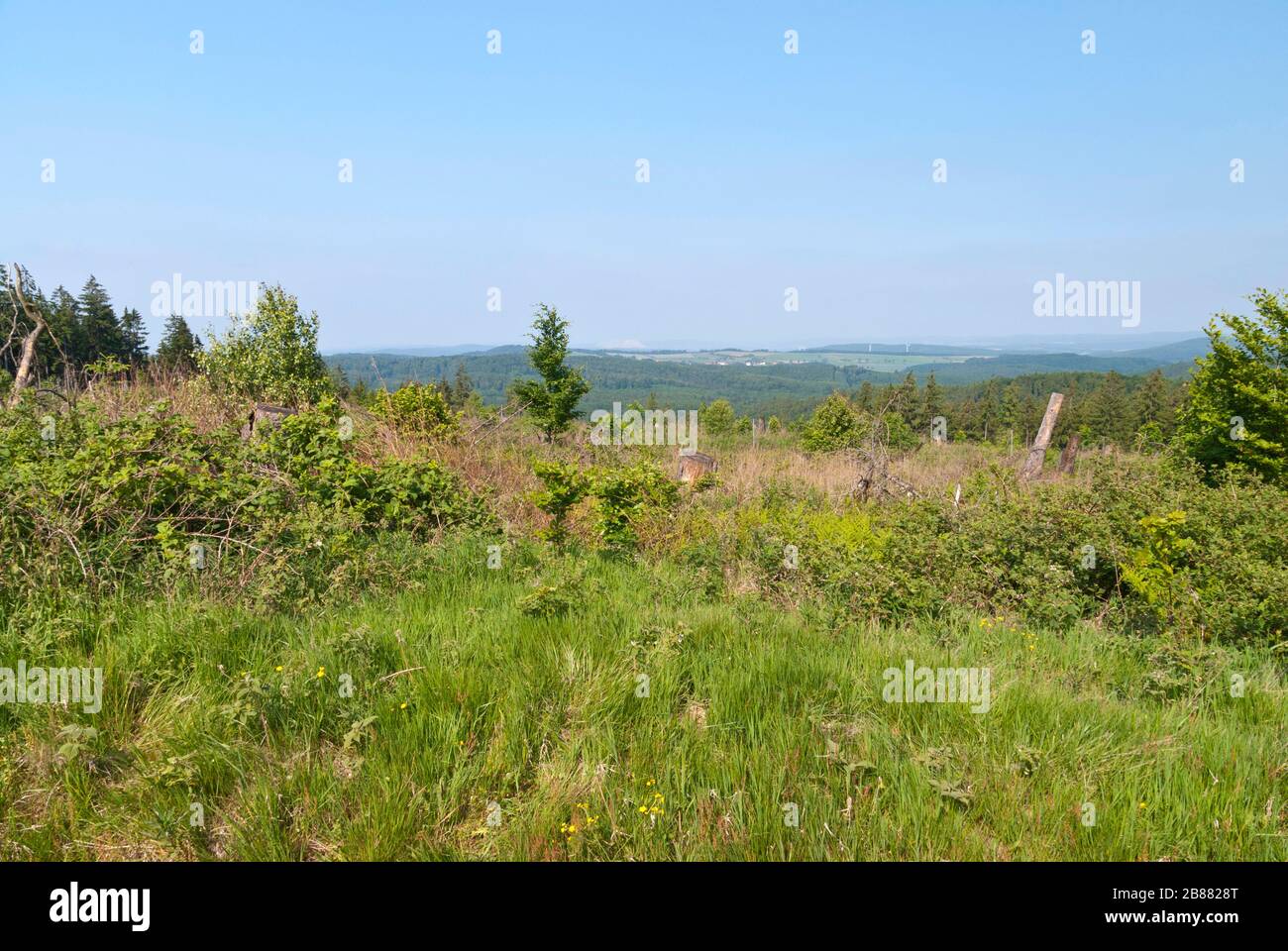 Rennsteig hill hi-res stock photography and images - Alamy