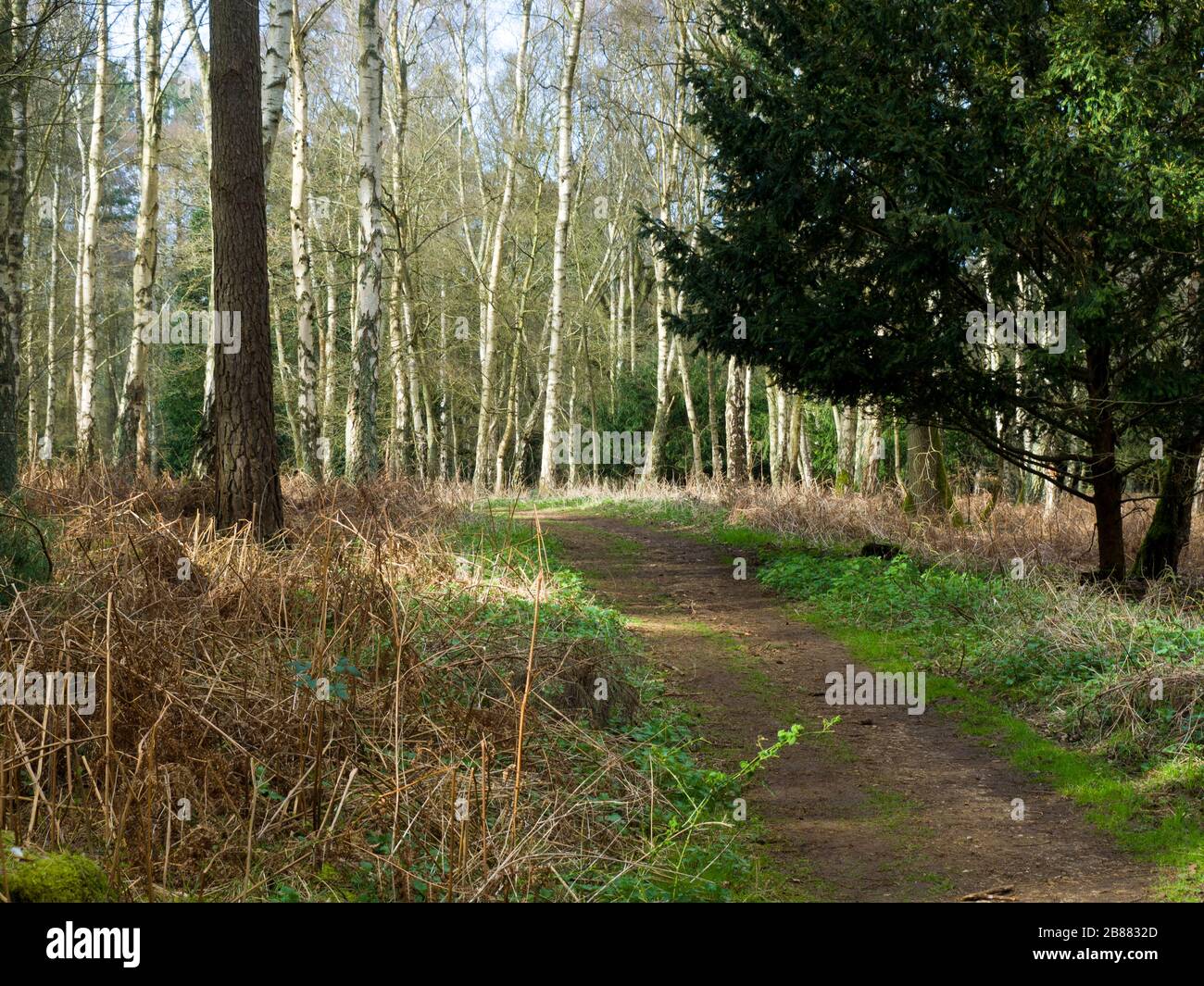 Sandringham estate hi-res stock photography and images - Alamy
