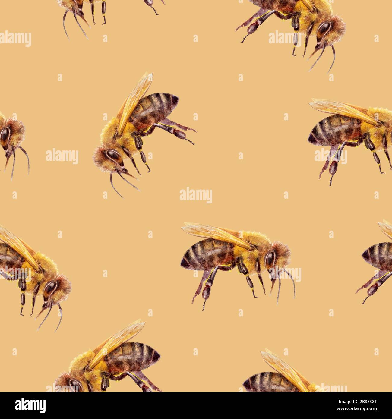 Honey bee hand drawn watercolor illustration. Seamless pattern Stock ...