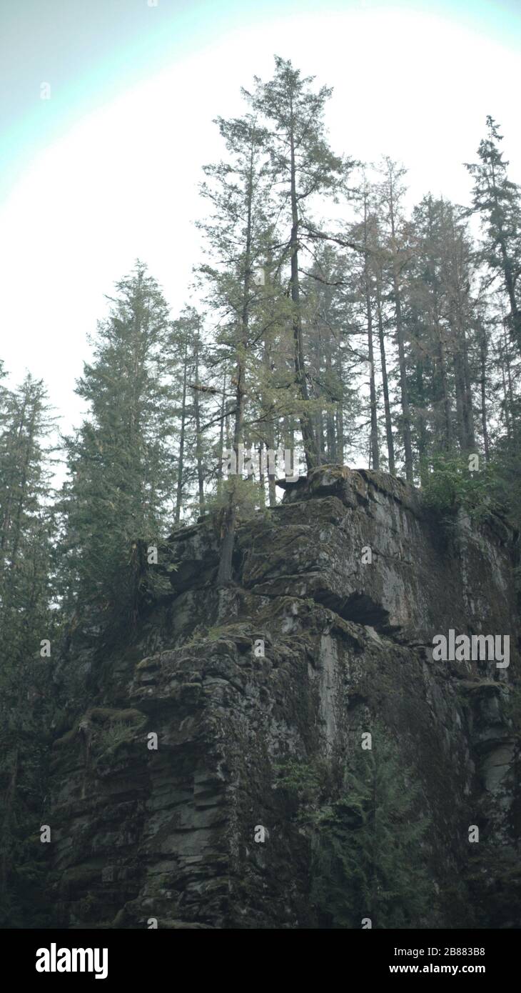 Cliff side in a green forest park in British Columbia Canada Stock ...