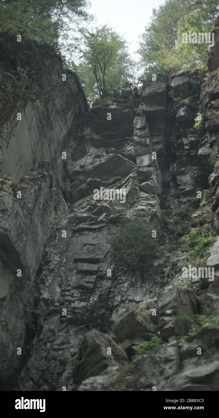 Cliff side in a green forest park in British Columbia Canada Stock ...