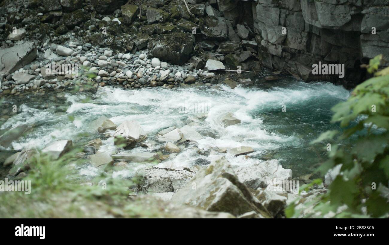 River flowing through a forest park in British Columbia Canada Stock ...