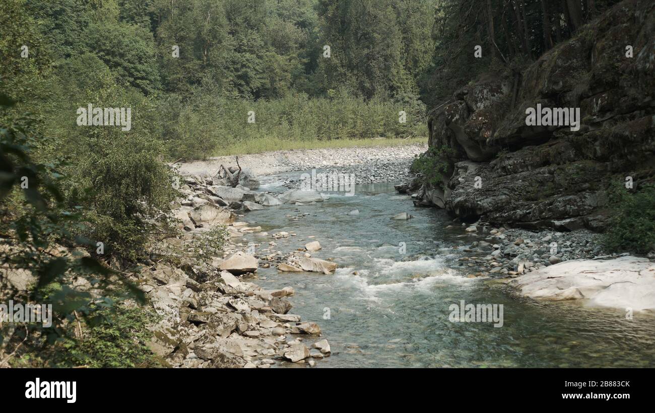 River flowing through a forest park in British Columbia Canada Stock ...
