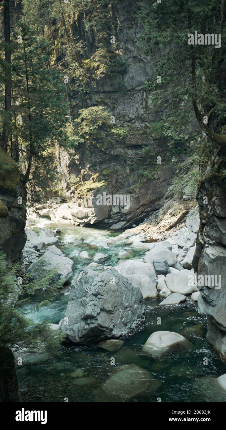 River flowing through a forest park in British Columbia Canada Stock ...