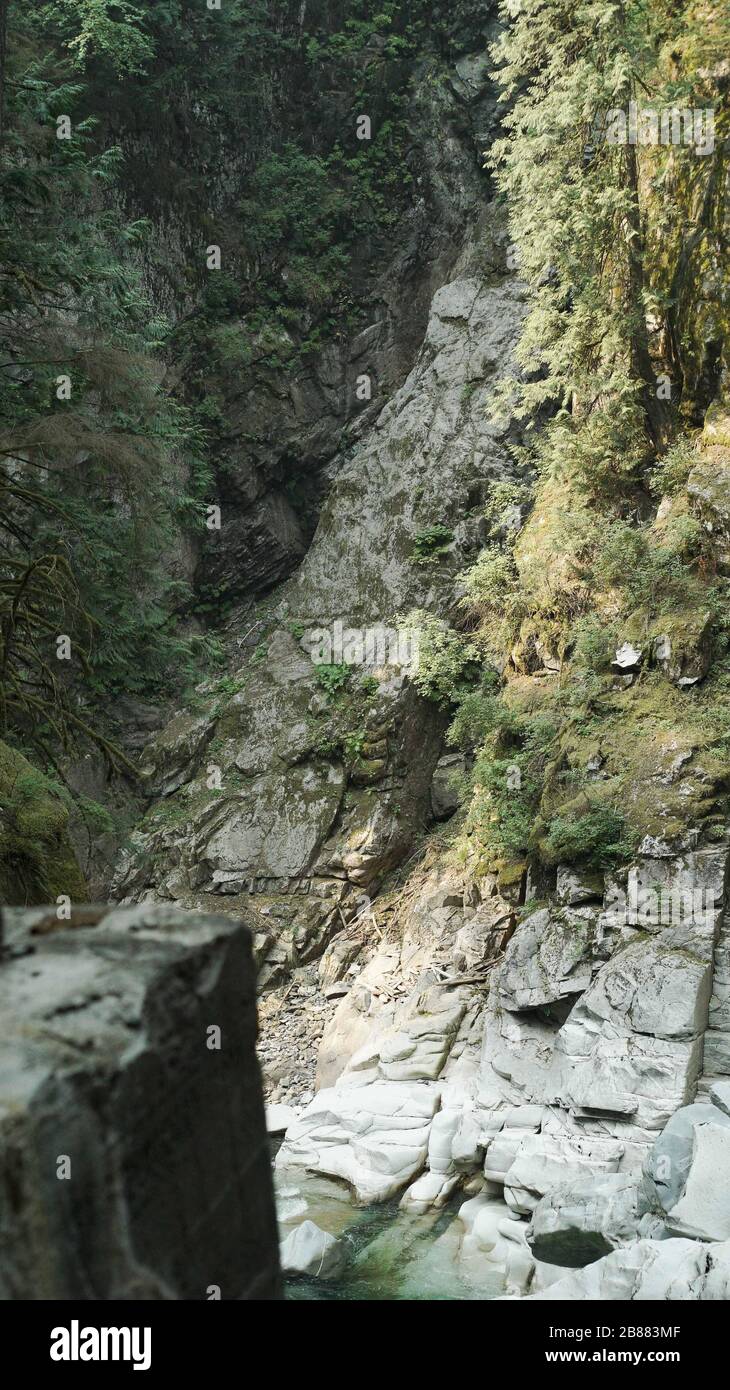 Cliff side in a green forest park in British Columbia Canada Stock ...