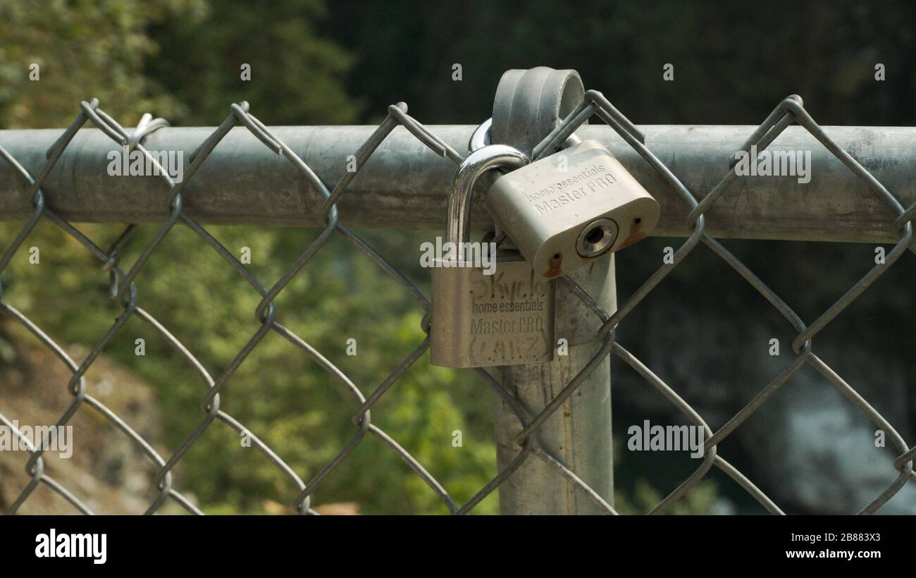Two Large padlocks on chain-link fence in green forest in British ...