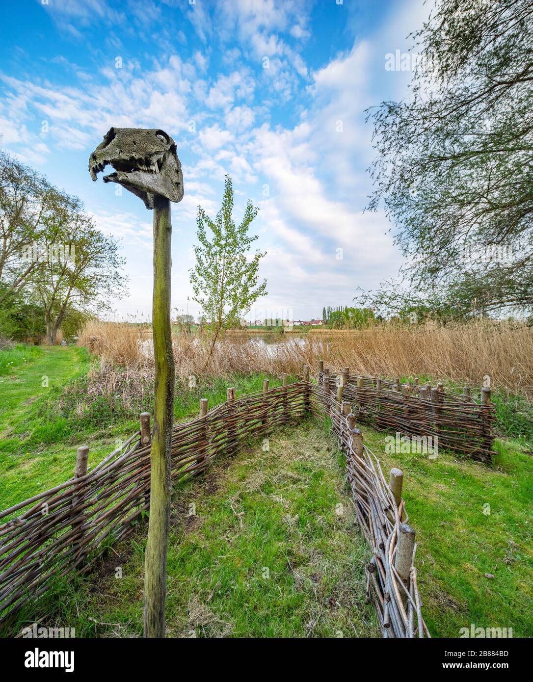 Sacrificial moor Niederdorla, reconstructed cult site from the 5th ...