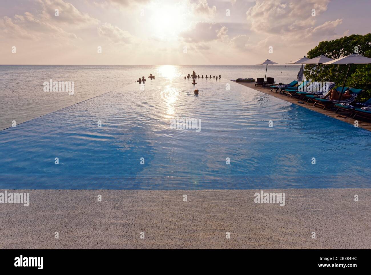 Infinity Pool, swimming pool, Summer Island, North Male Atoll, Maldives ...