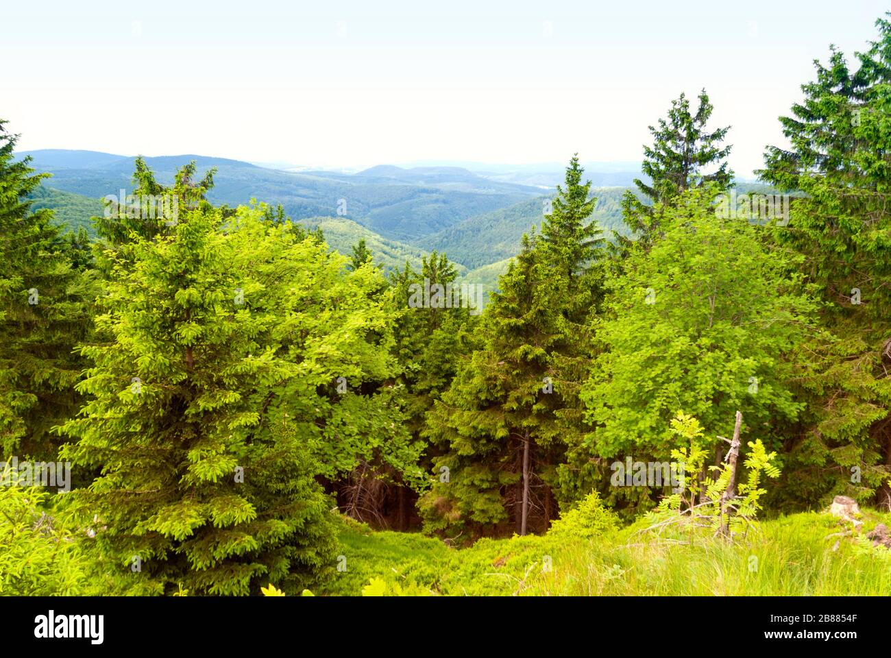 Walking Trail Rennsteig in Germany Stock Photo - Alamy