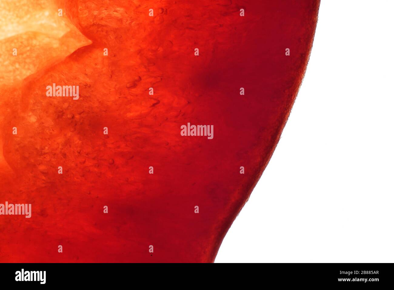 Creative, colorful macro image of red pepper slice. Abstract, fresh ...