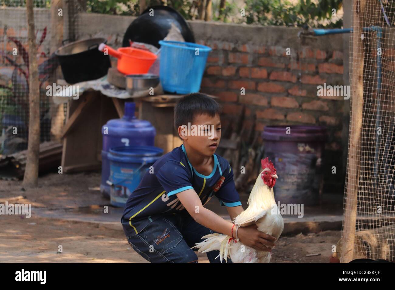 YOUNG BOYS PROUDLY SHOWING OFF THEIR BIRDS IN A COCK FIGHT IN A TRIBAL ... YOUNG BOYS PROUDLY SHOWING OFF THEIR BIRDS IN A COCK FIGHT IN A TRIBAL ...