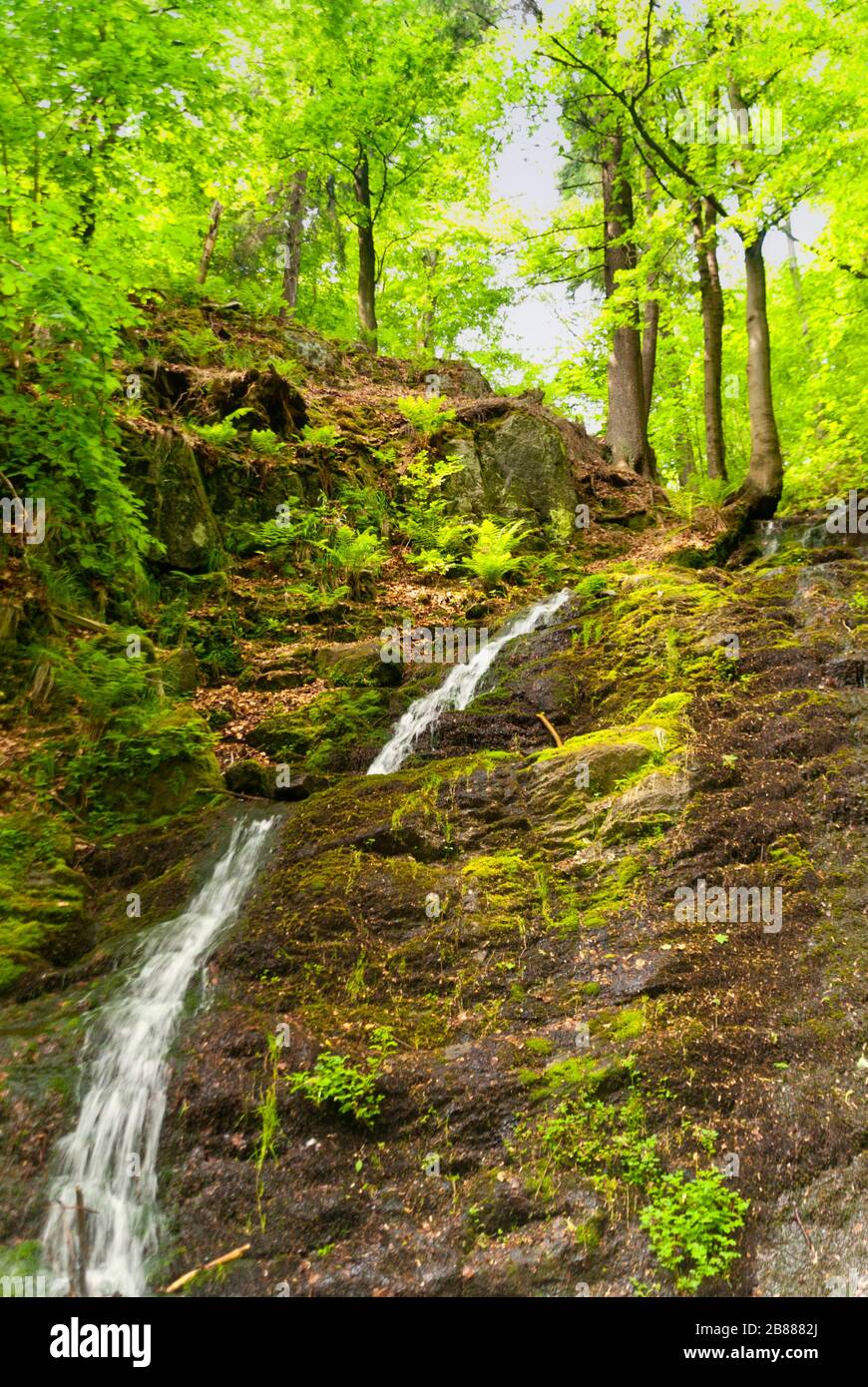 Waterfall in the Thuringian Forest Stock Photo - Alamy