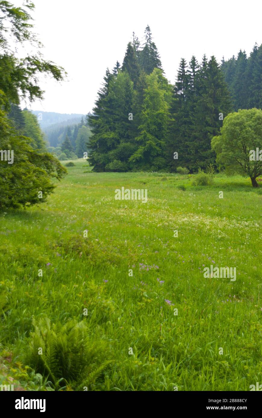 Thuringian highlands hi-res stock photography and images - Alamy