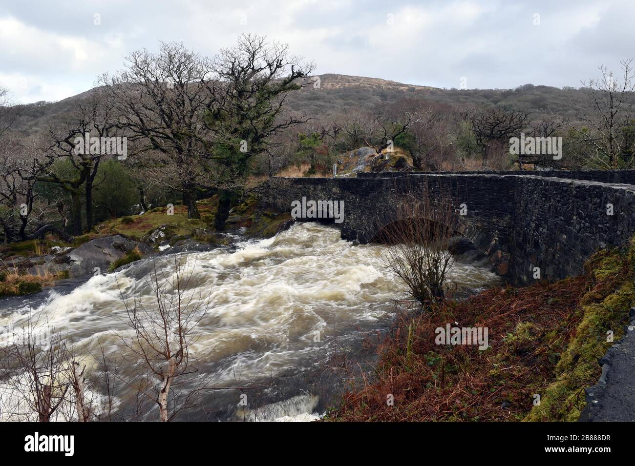 Kerry dark sky reserve ireland hi-res stock photography and images - Alamy