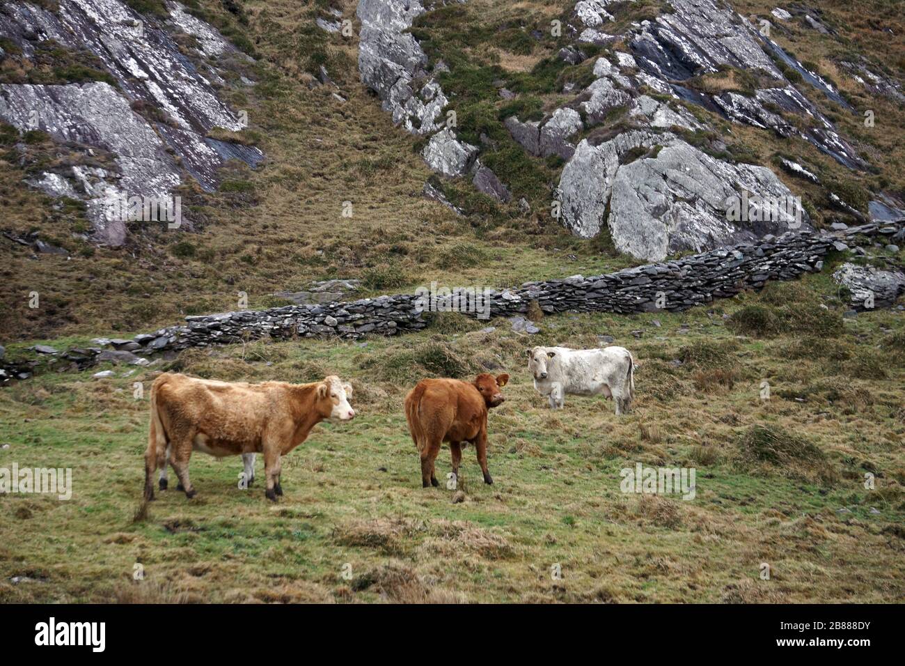 Kerry dark sky reserve ireland hi-res stock photography and images - Alamy