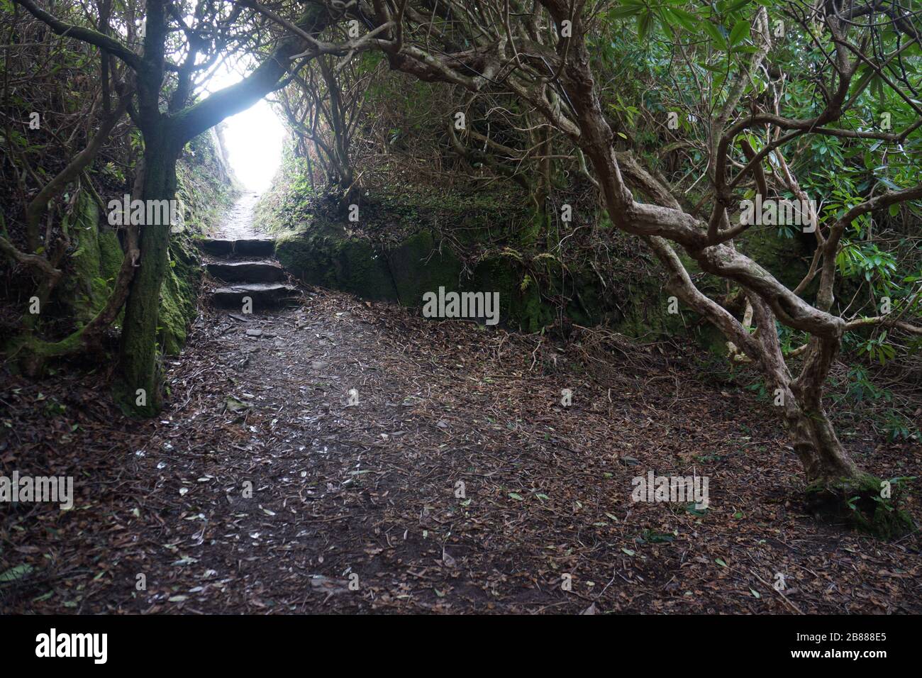 Kerry dark sky reserve hi-res stock photography and images - Alamy