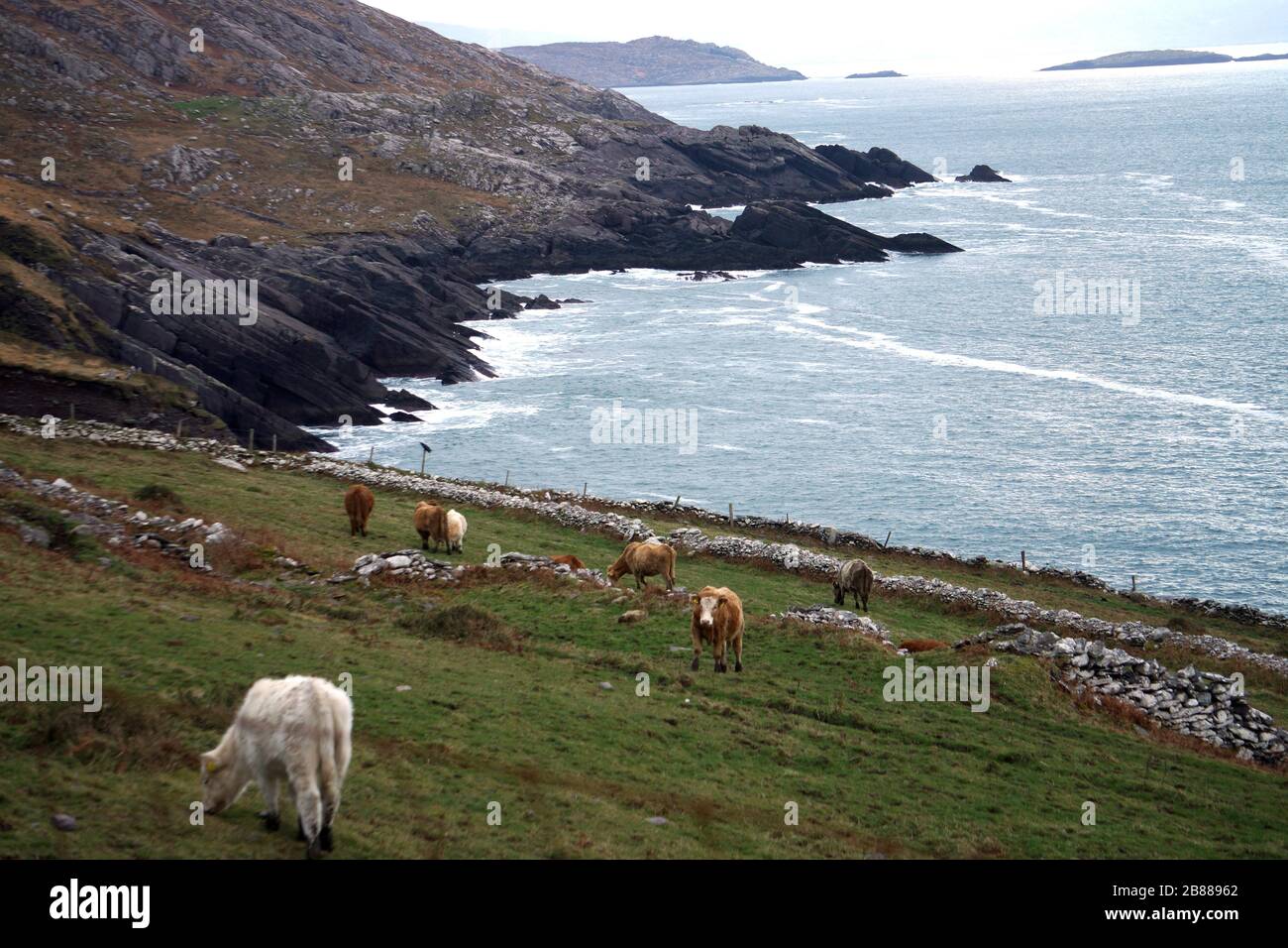 Kerry dark sky reserve hi-res stock photography and images - Alamy