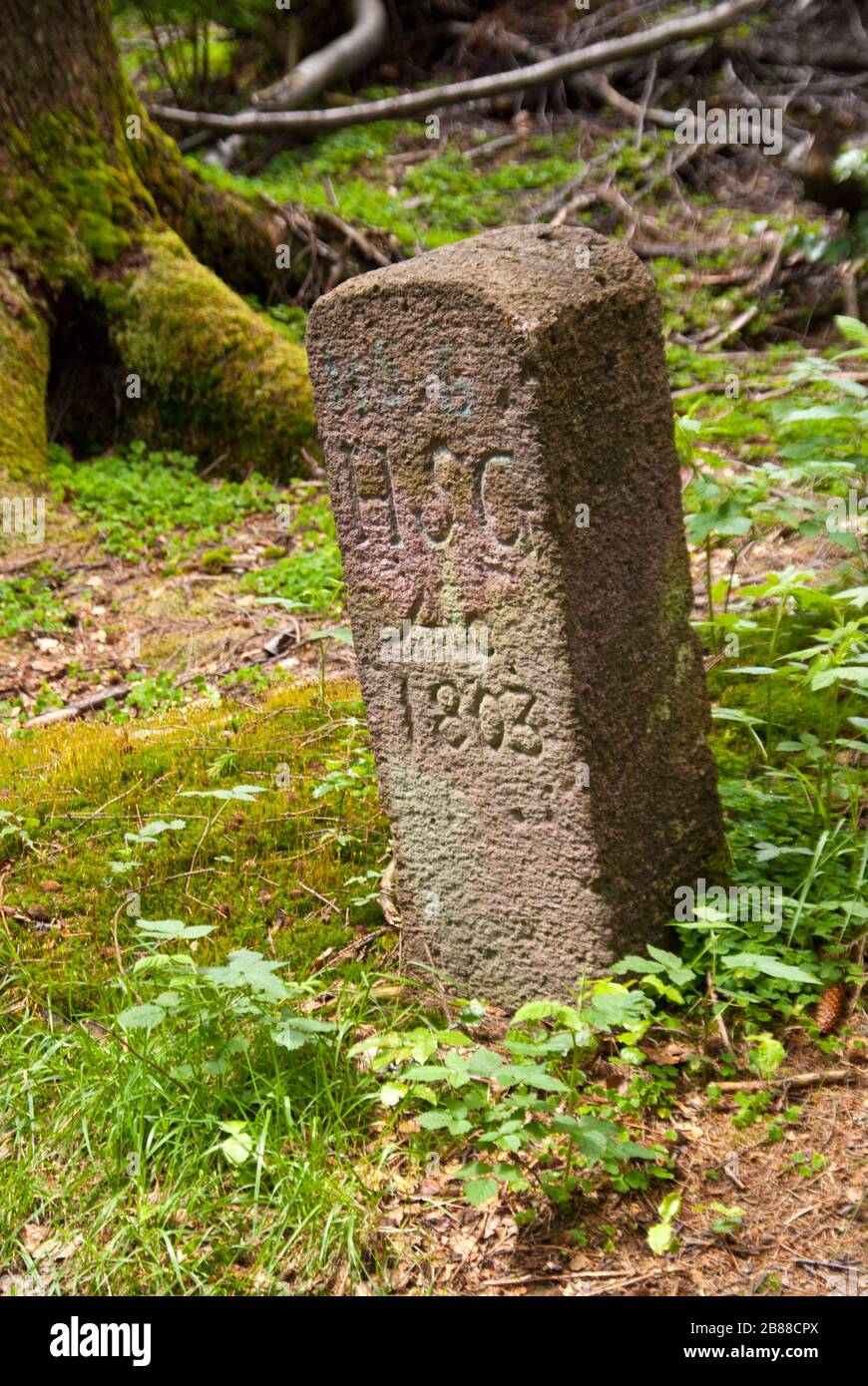 The rennsteig hiking trail hi-res stock photography and images - Alamy