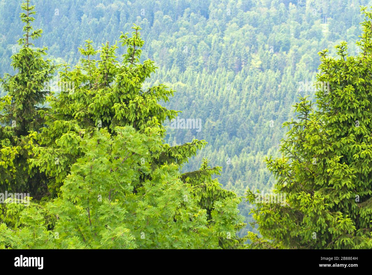 Thuringian highlands hi-res stock photography and images - Alamy