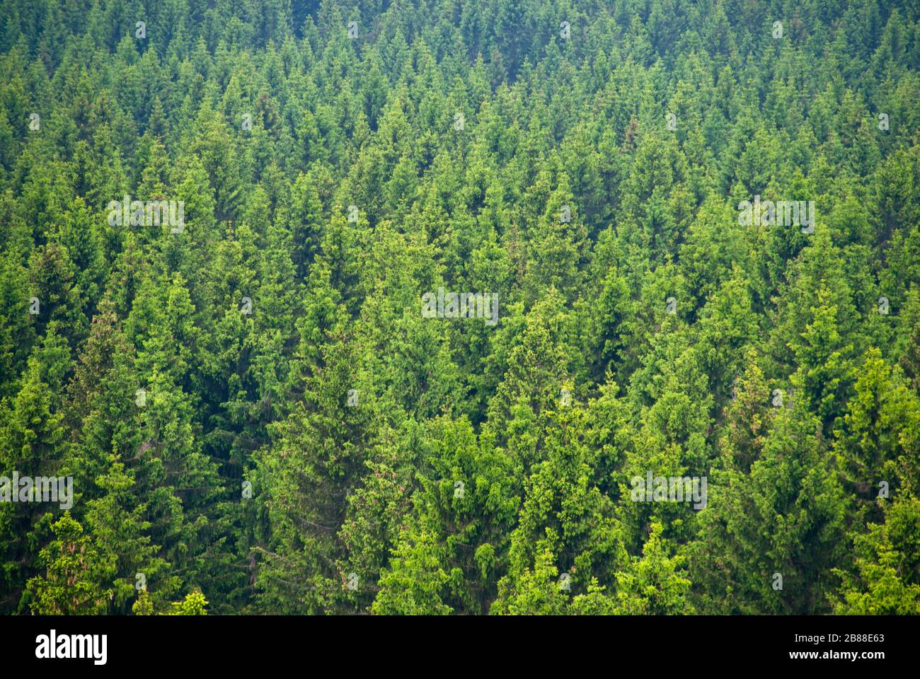 Thuringian highlands hi-res stock photography and images - Alamy