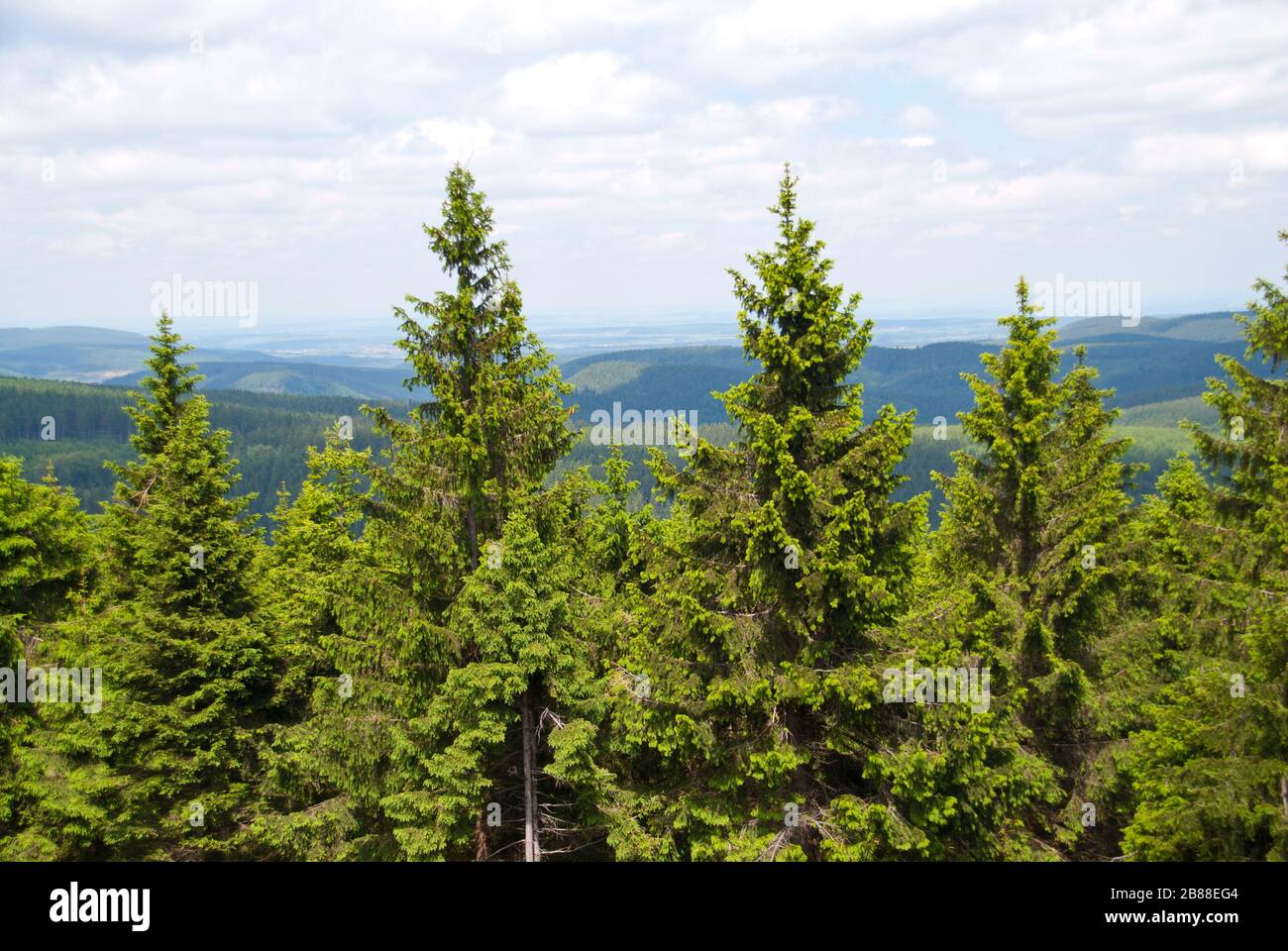 Thuringian highlands hi-res stock photography and images - Alamy