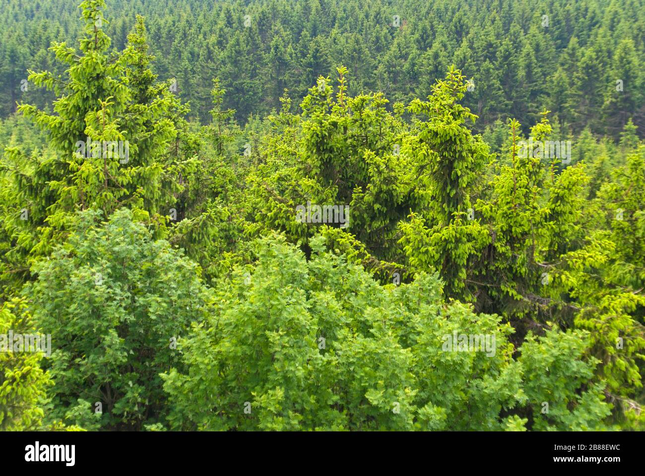 Thuringian highlands hi-res stock photography and images - Alamy