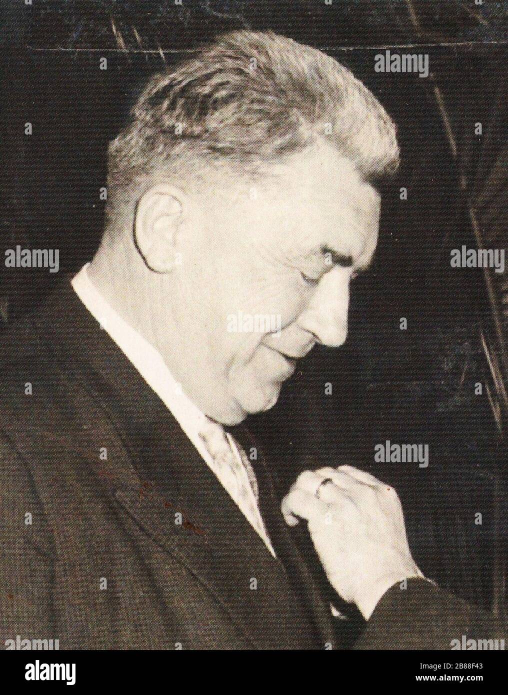 Cals hi-res stock photography and images - Alamy