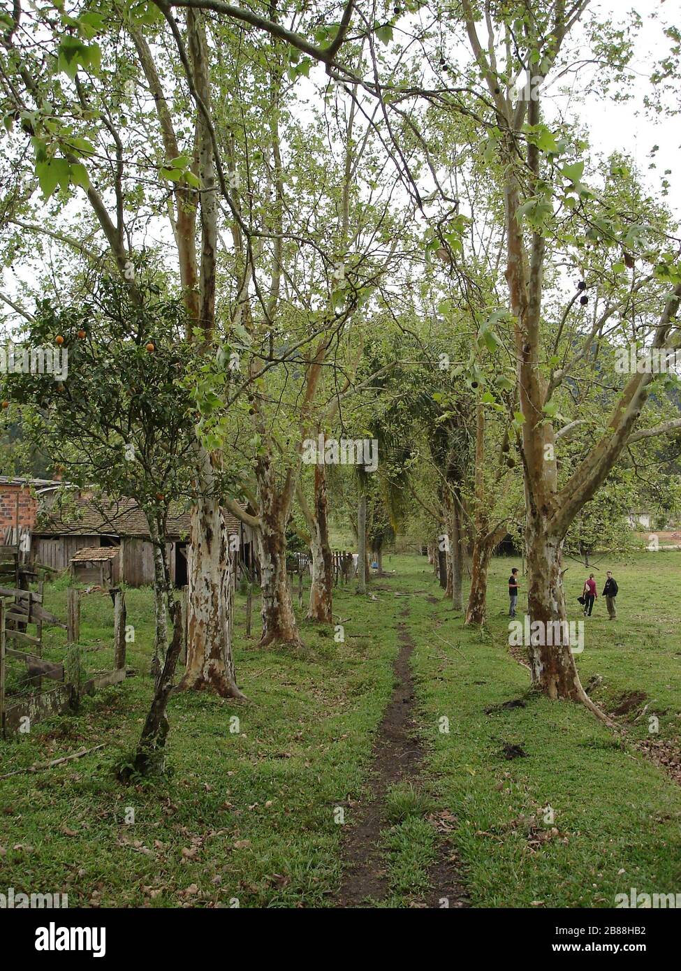 Lenard hi-res stock photography and images - Alamy