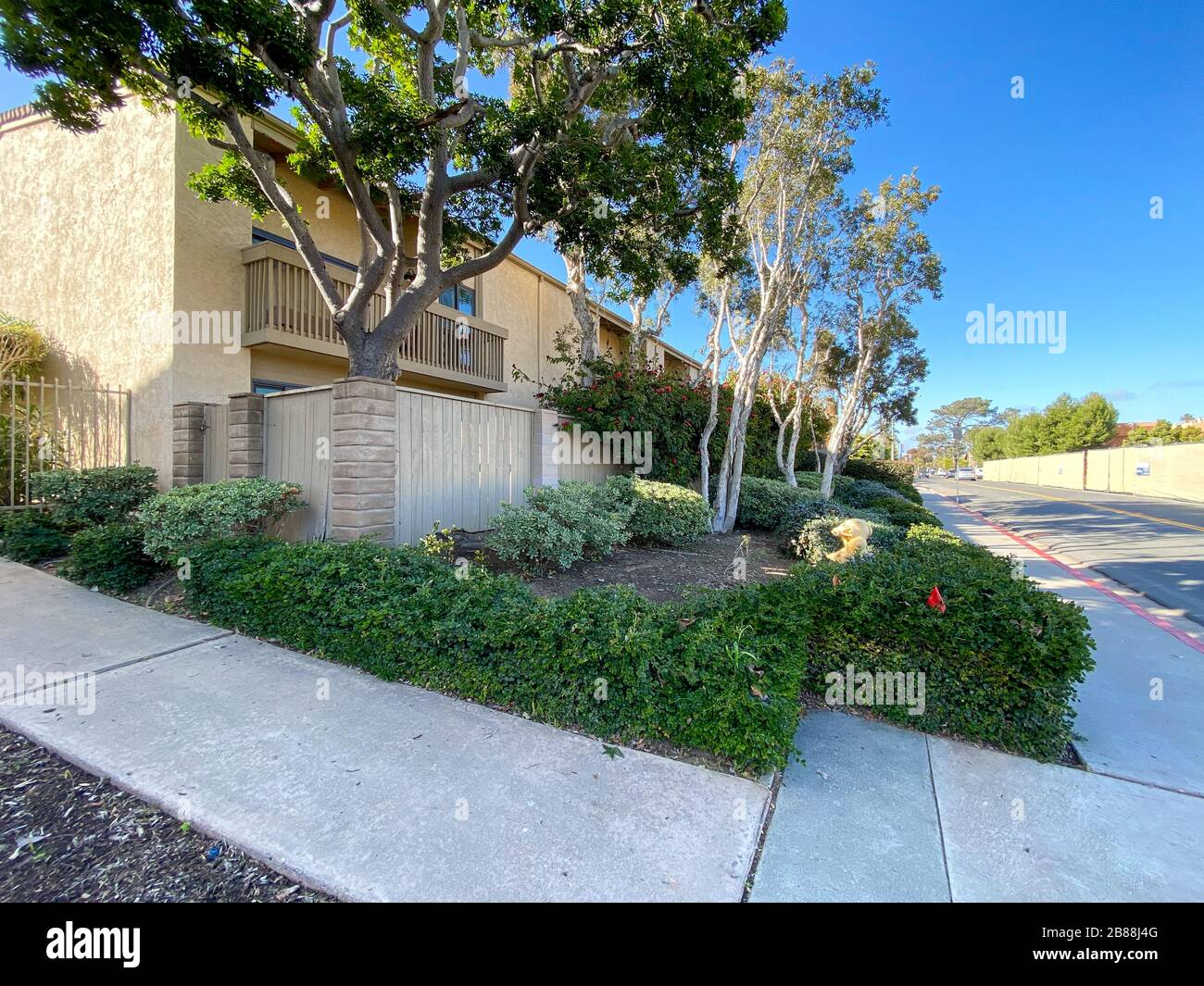 Garden and lawn along the walk path through the typical condo complex ...