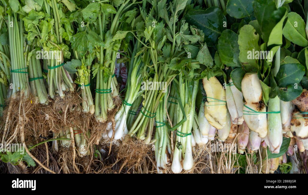 All kinds of asian greens on a market in Bangkok Stock Photo - Alamy