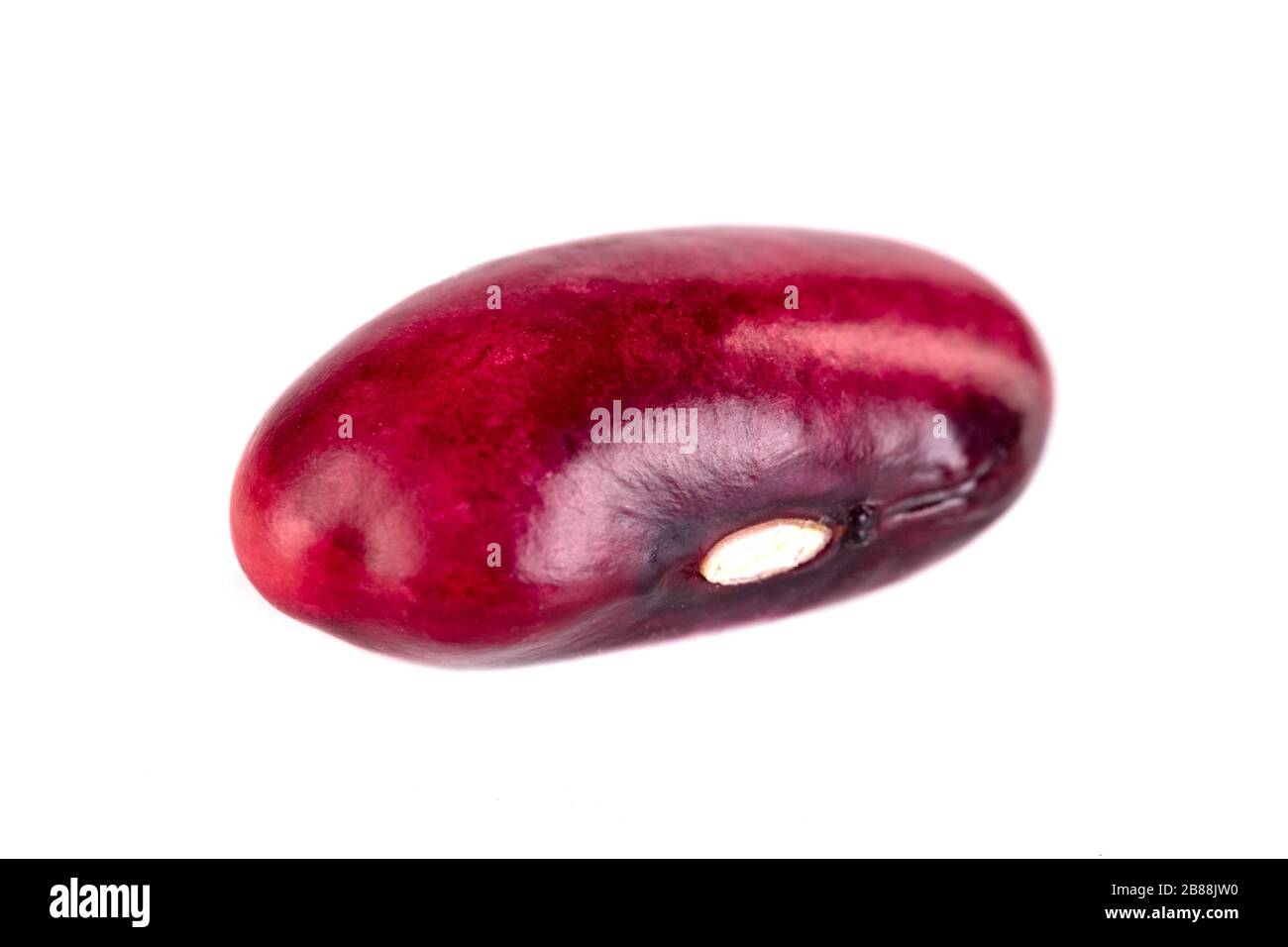 Kidney shaped bean hi-res stock photography and images - Alamy