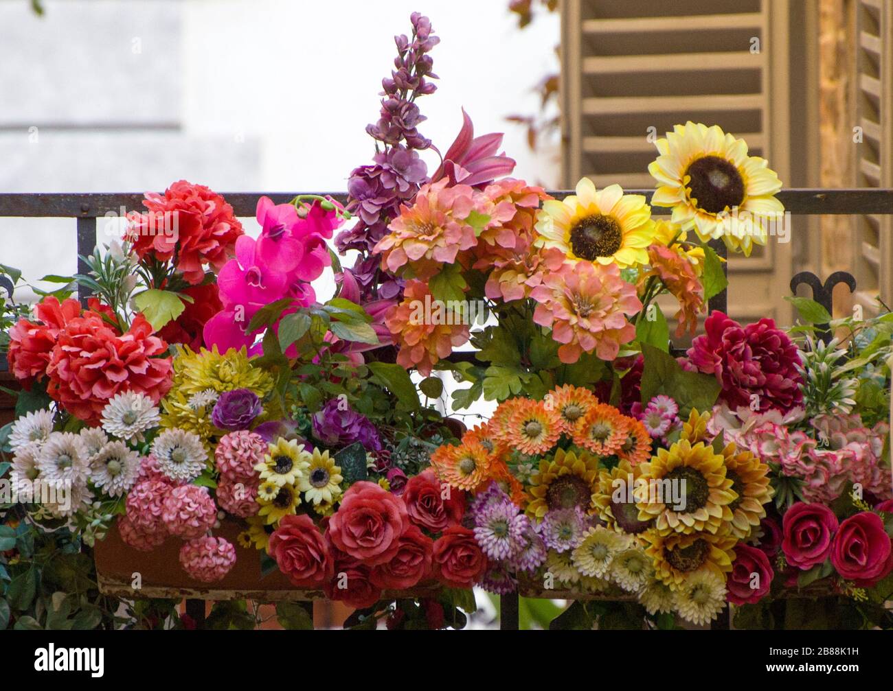 Beautiful composition of colorful flowers Stock Photo - Alamy
