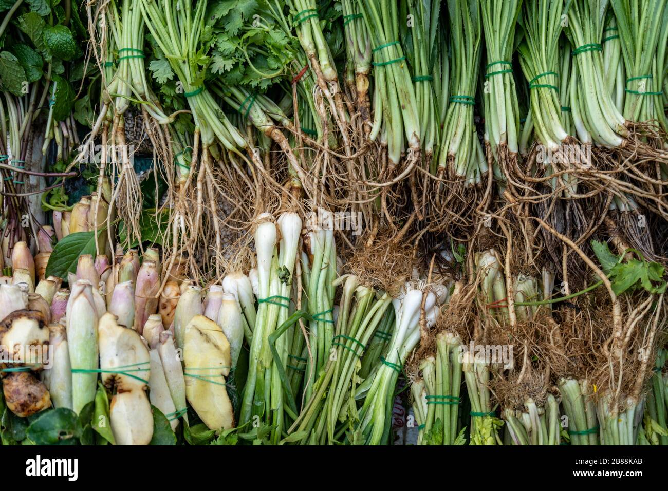 All kinds of asian greens on a market in Bangkok Stock Photo - Alamy