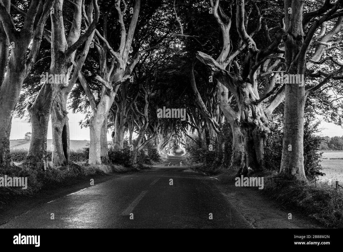 Magic road ireland hi-res stock photography and images - Alamy