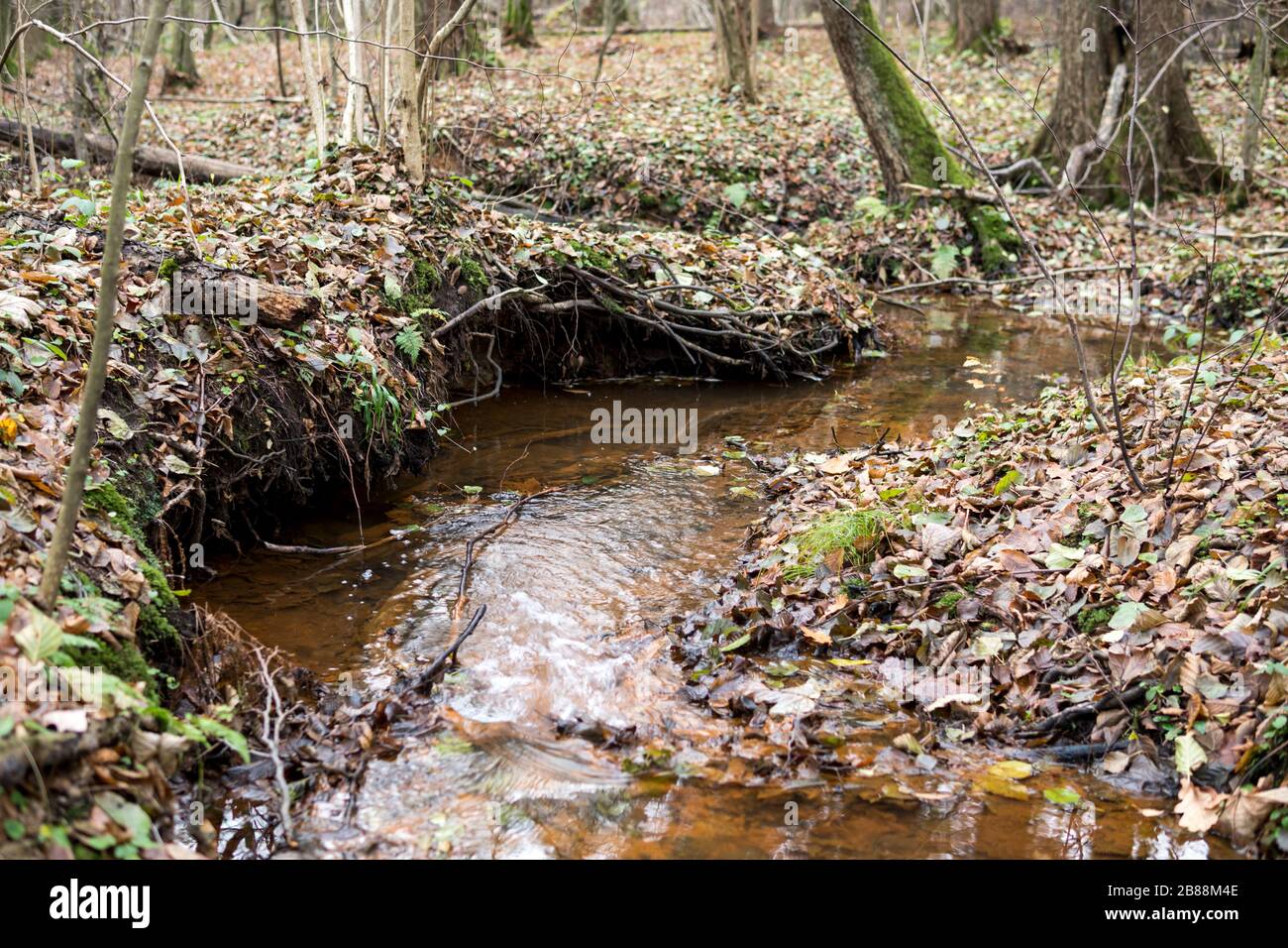 Meander formation as an effect of water erosion on a small stream ...