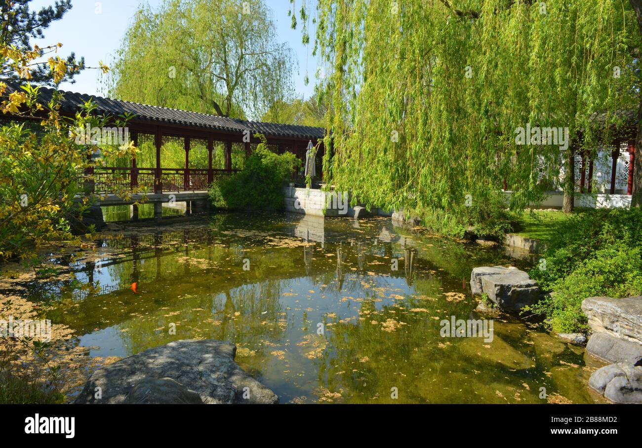 Beautiful peaceful chinese style garden with water and traditional ...